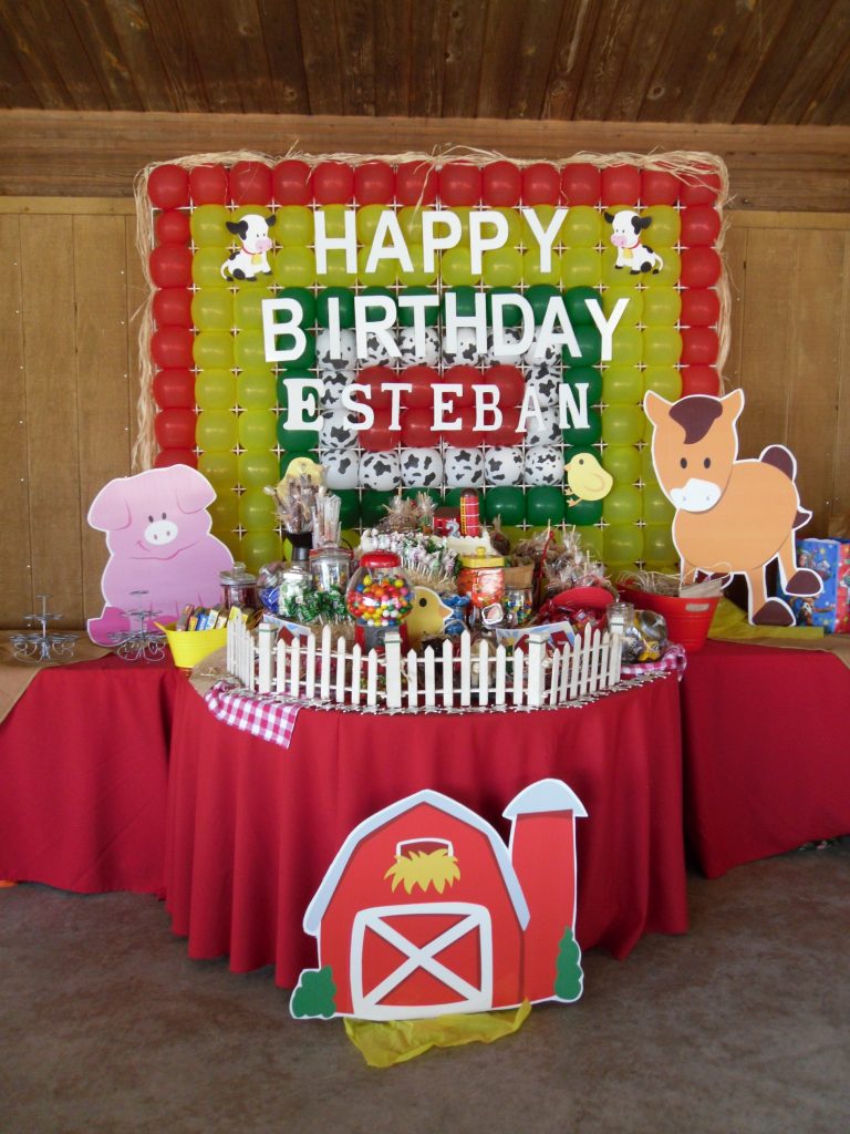 kids-country-theme-party - Carnival Fun Experts